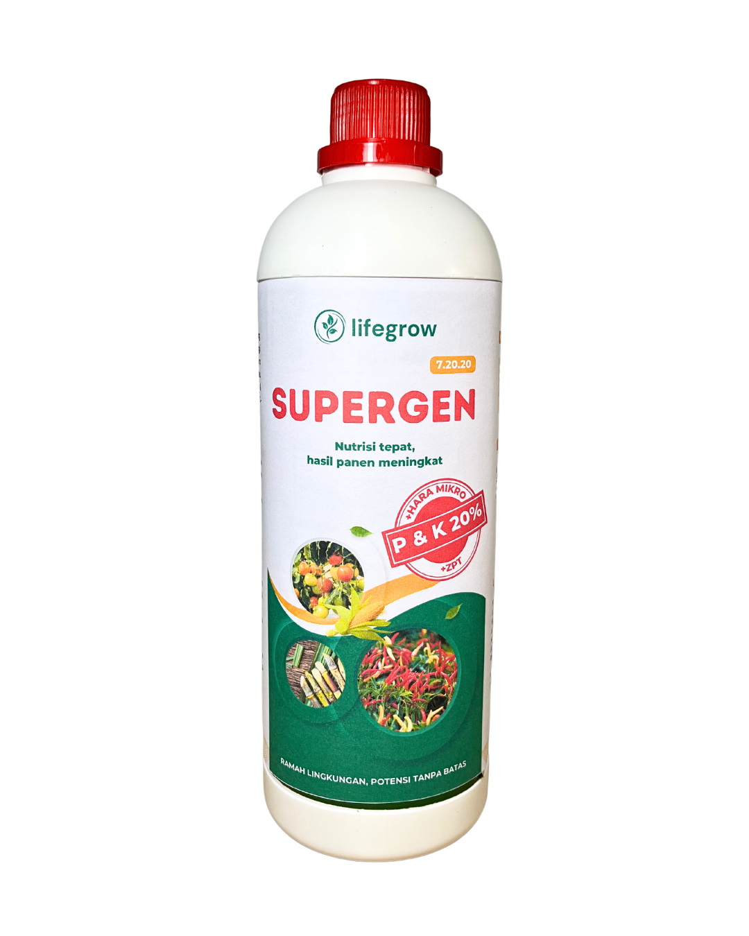 SUPERGEN - biotekciptakreasi.com